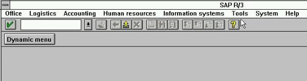 SAP Tutorial--Finance